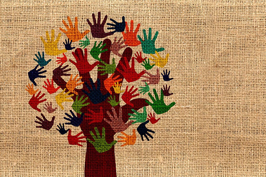 Neighbors Helping Neighbors McKinney Texas, Collin County, North Texas